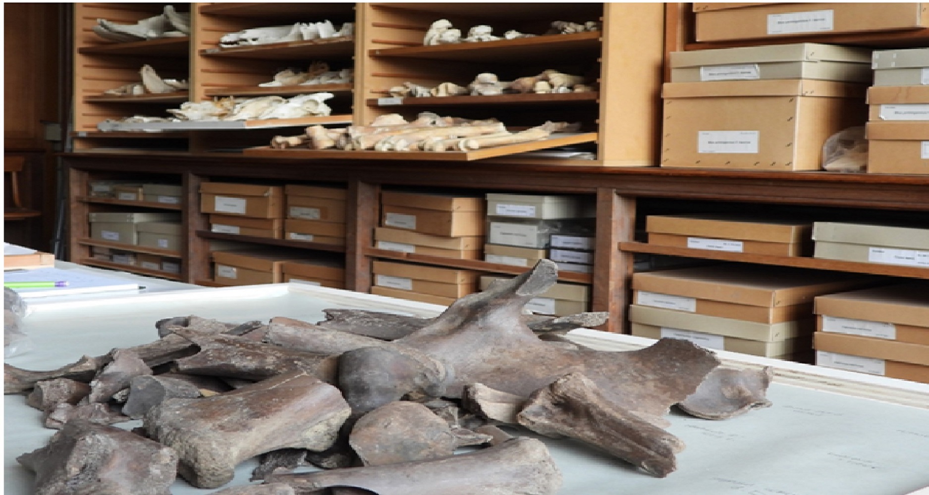 Facilities - Ercfelix